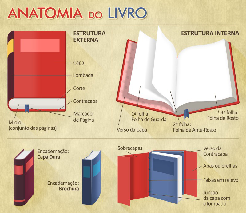 Partes De Um Livro Capa Contracapa - LIBRAIN